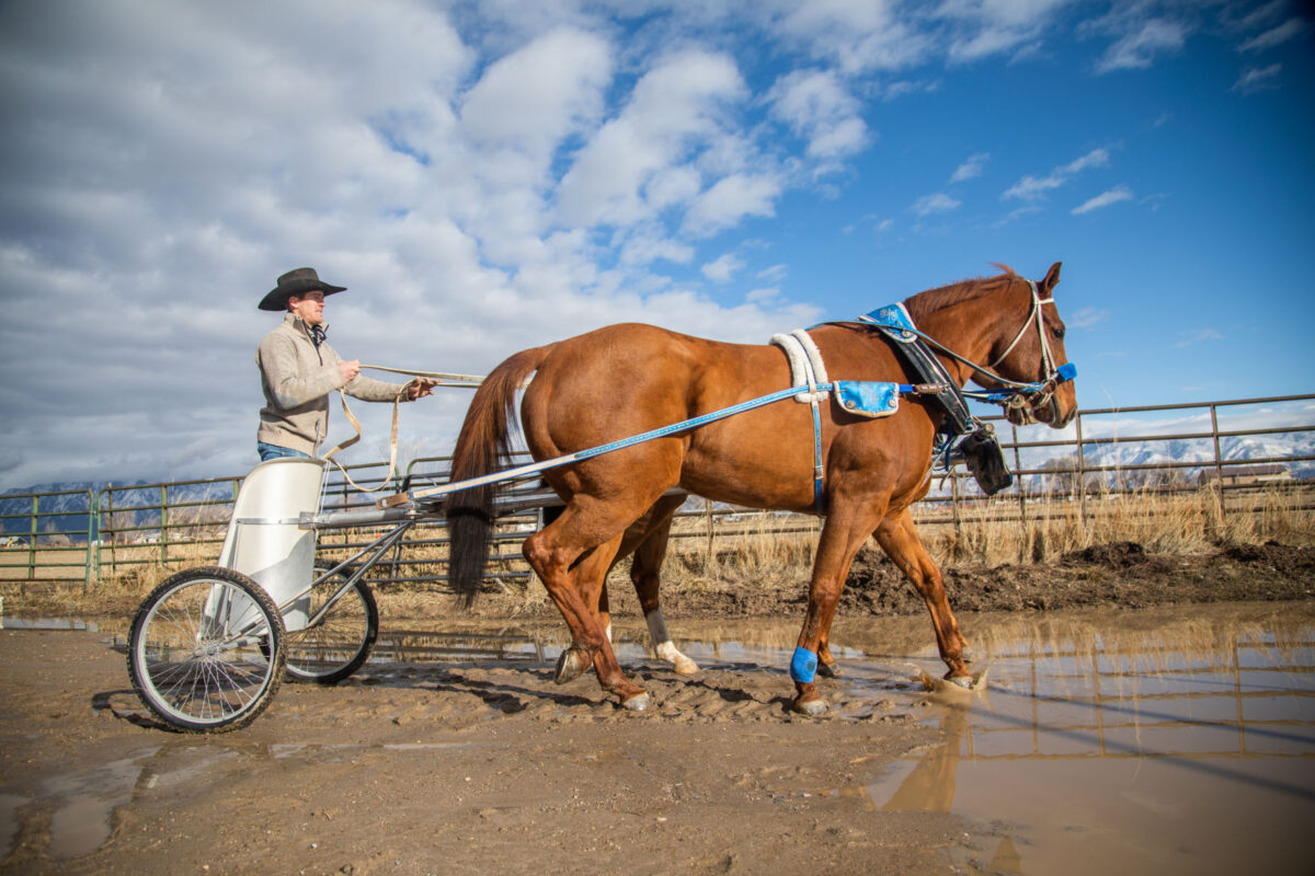 West Warren’s Jordan Hadley carries on family tradition — love of ...